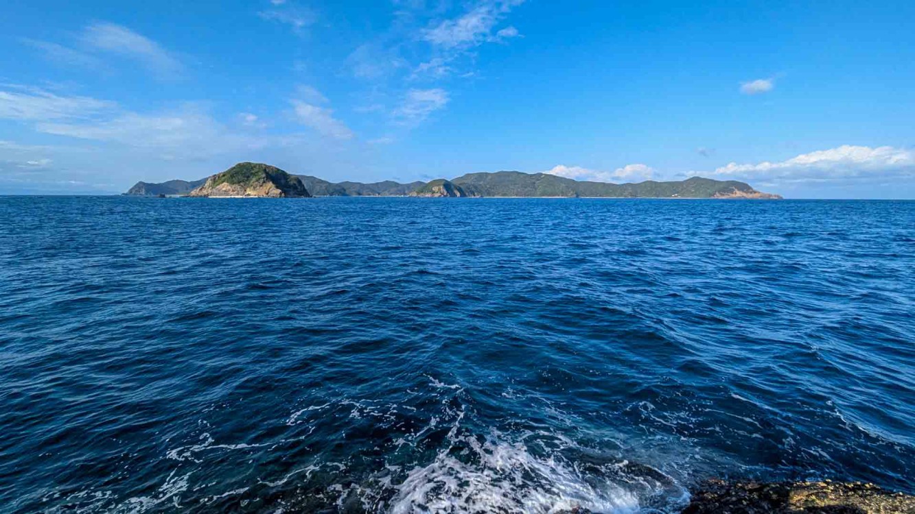 Fish Fury | 釣りビジョンVOD