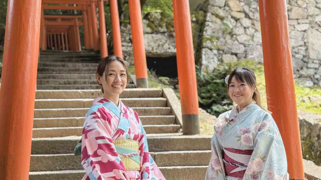 Squid Squad | 釣りビジョンVOD